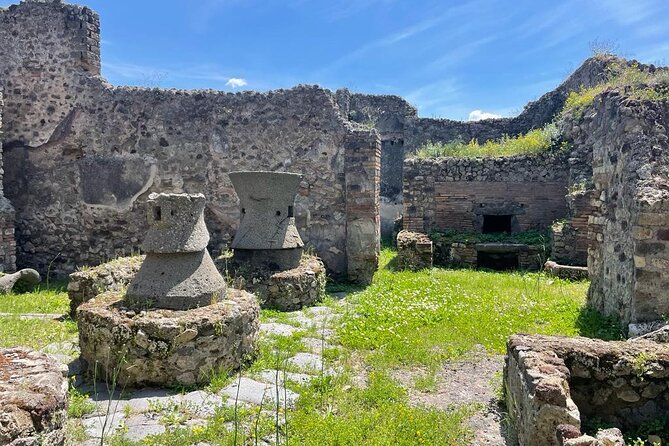 Private Skip The Line Archeo Tour Of Pompeii - Frequently Asked Questions
