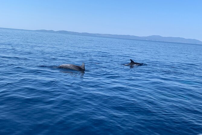 Private Speedboat Tour From Trogir or Split-Create Your Itinerary - Tailoring Your Speedboat Adventure