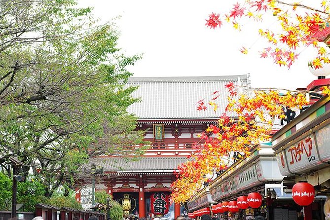 Private Tokyo Custom Full-Day Tour by Chartered Vehicle - Booking and Cancellation Policy