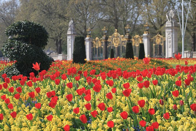 Private Tour, Entry to Westminster Abbey and London Highlights - Benefits of a Private Guided Tour in London