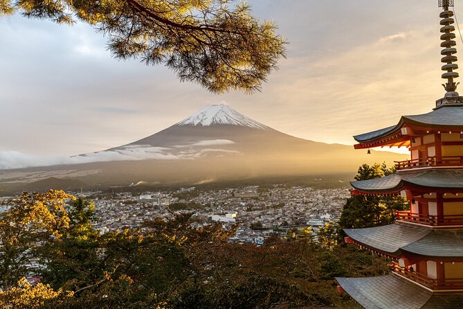 Private Tour to Mt Fuji and Hakone With English Speaking Driver - Host Response and Commitment to Improvement