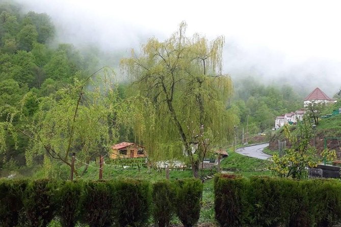 Private Tour: Tsaghkadzor, Sevan Lake,Sevanavank, Dilijan, Haghartsin Monastery - Visiting Dilijan and Haghartsin Monastery
