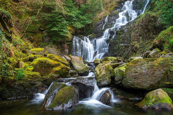 Private Tour:Ring of Kerry,Kerry Cliffs, Starting in (From) Killarney - Meet Your Guides: Peter and Tony