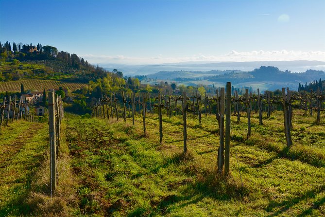 Private Tuscany Tour: Siena, San Gimignano and Chianti Day Trip - Winery Visits and Tastings