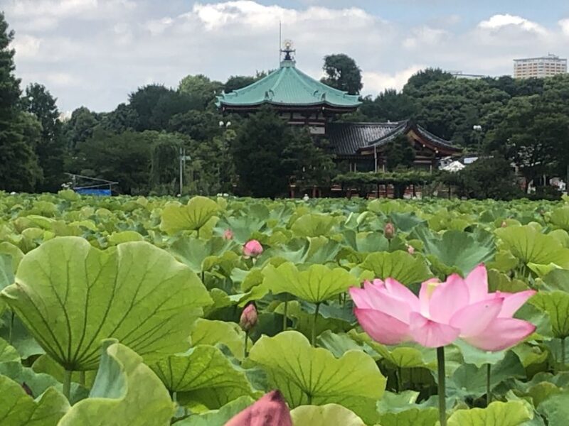 Private Ueno Park Architecture Tour - Architectural Gems at Tokyo National Museum