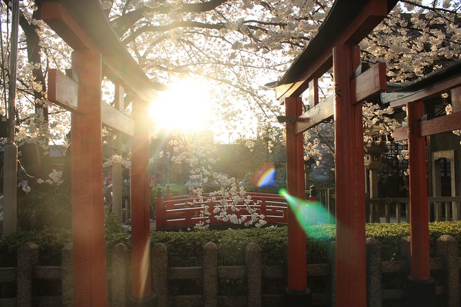 Private & Unique Kyoto Cherry Blossom Sakura Experience - Exceptional Ratings and Guest Experiences