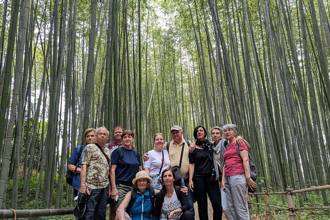 Private Walking Tour in Kyoto With Guide - Experiencing the Monkey Park and Scenic Temples