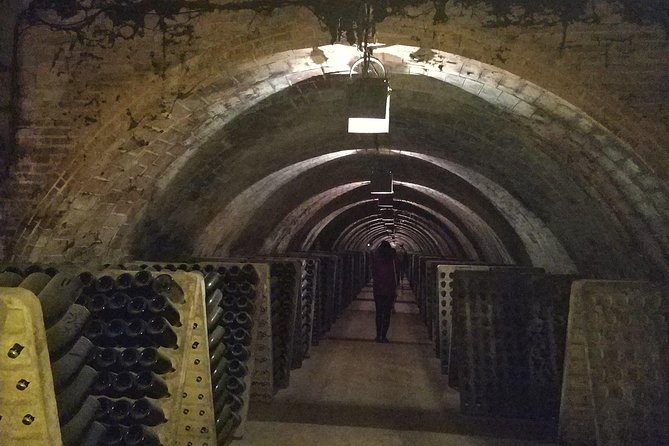 Private Wine & Cava Tasting Tour in Penedés Region With Hotel Pick up - Booking Information and Policies