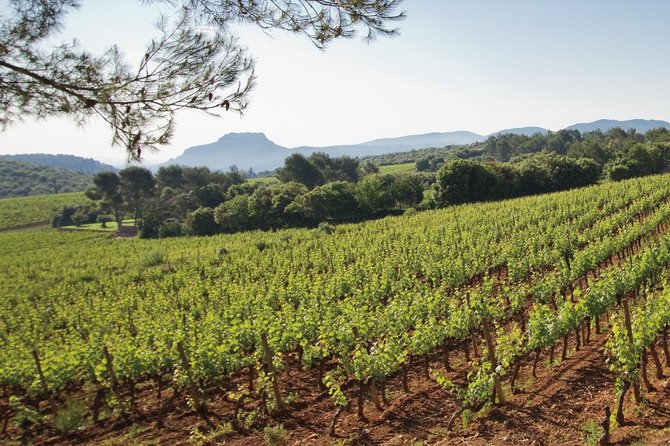 Provence Wine Tour - Private Day Tour From Cannes - Booking and Cancellation Policies