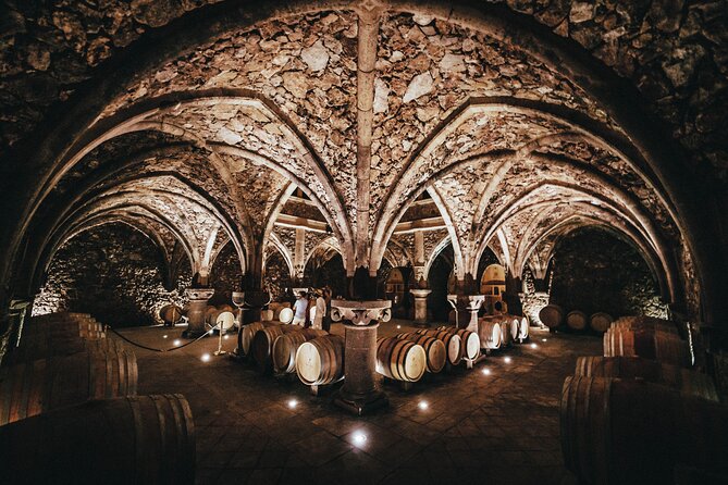 Provence Wine Tour - Small Group Tour From Nice - Picturesque Provence Countryside Experience