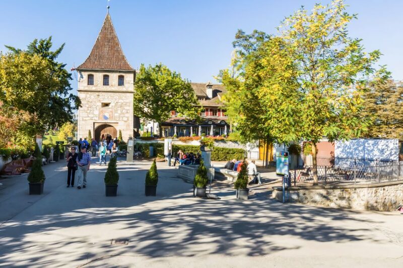 Rhine Falls: Coach Tour From Zurich - Best Time to Visit the Rhine Falls