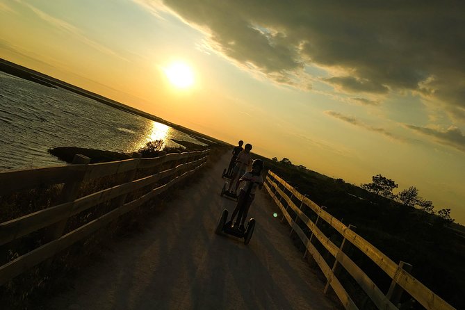 Ria Formosa Natural Park Birdwatching Segway Tour From Faro - Accessibility and Additional Information