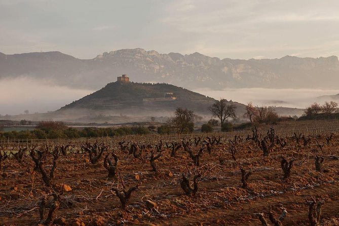 Rioja Alavesa Wineries and Medieval Villages Day Trip - Meeting Points and Operating Hours