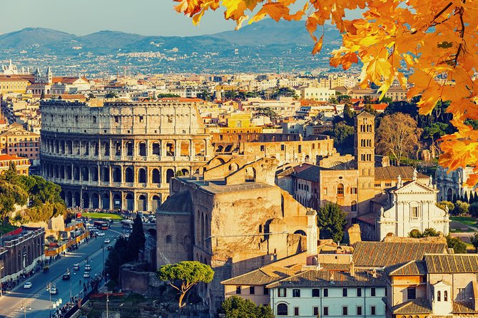 Rome: Colosseum, Palatine Hill & Roman Forum Guided Tour - Contact and Support Information