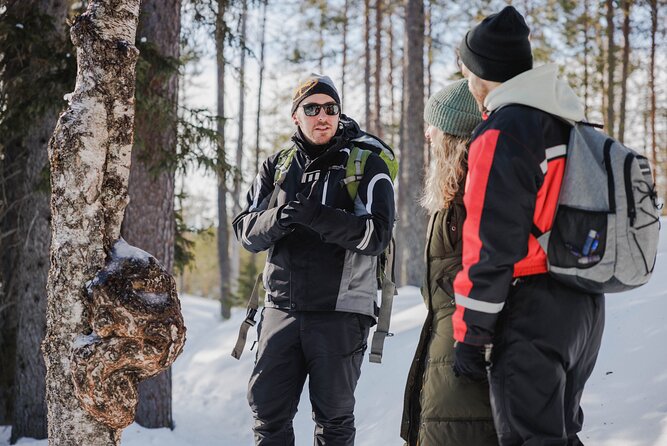 Rovaniemi - Visit to The Frozen Waterfalls of Korouoma - Since You Asked