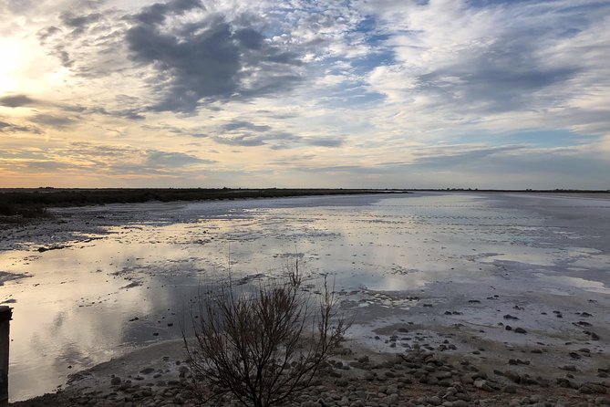 Safari 4x4 Camargue 2 Hours - Saintes Maries De La Mer - Private Tour - Booking Your Private Safari Experience