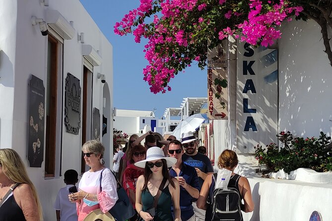 Santorini Shore Excursion: 5-hour Small Group Tour - Relaxing on Red and Black Beaches