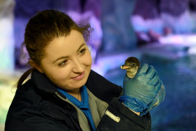 SEA LIFE Birmingham Admission Ticket - Additional Tips for Your Visit