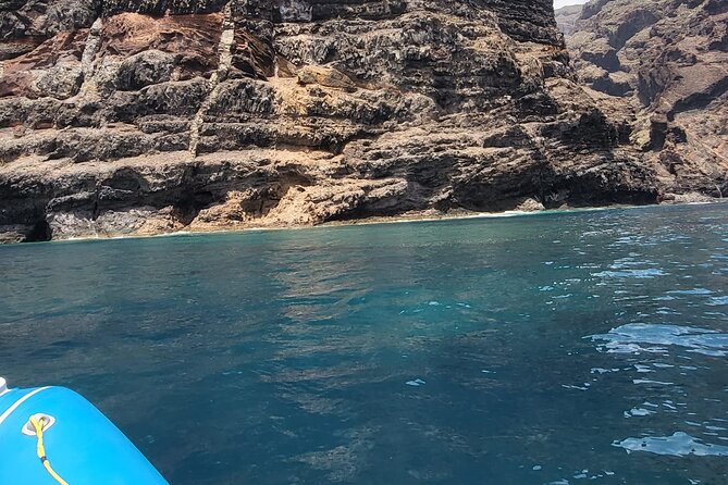 SEA SAFARI Dolphins, Whales, 3h Speedboat DISCOVERY-TOUR - Practical Tips for Booking and Preparing