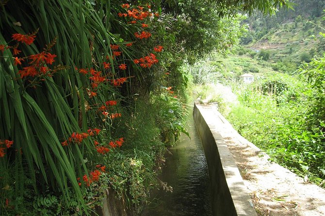 Serra D'a Água Valley - Levada Walk - Frequently Asked Questions