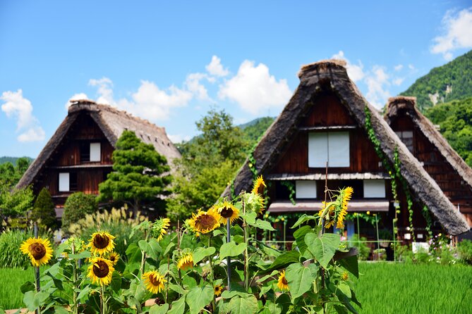 Shirakawa-Go From Takayama/Nagoya One Day Bus Ticket - Tour Schedule and Potential Changes