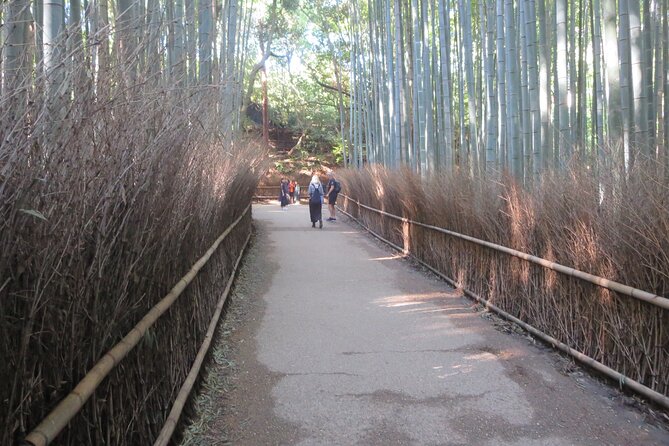 Shore Excursion: Full Day Private Kyoto Tour From Osaka/Kobe Port - Exploring Kyotos Top Attractions