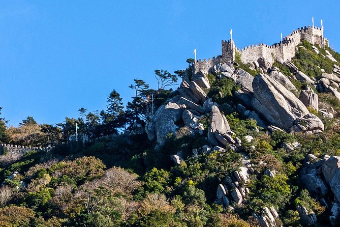 Sintra and Cascais Tour Review: A Memorable Experience - Customer Feedback and Experiences