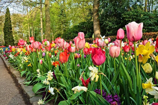 Skip-The-Line Keukenhof Gardens Sighseeing Tour From Amsterdam - Customization Options for Larger Groups