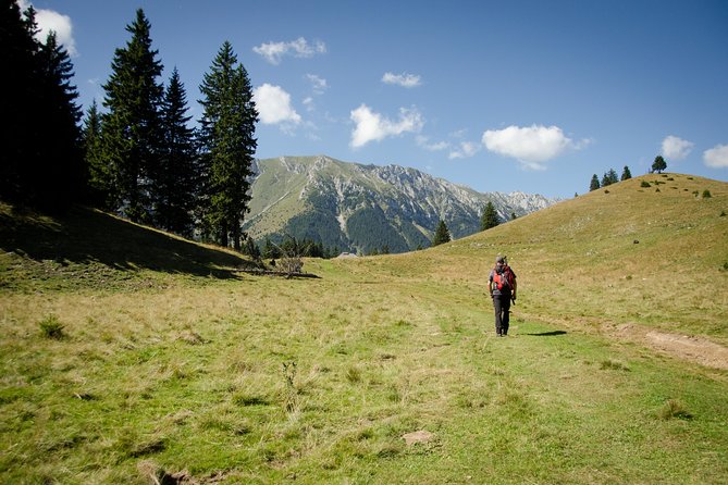 Small-Group Day Trip in Romanian Authentic Mountain Villages From Brasov - Authentic Cuisine and Local Hospitality