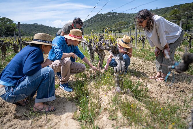 Small-Group Half-Day Languedoc Pic Saint-Loup Wine Tour From Montpellier - Scenic Countryside and Local Culture