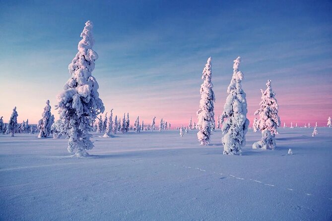 Snowmobile and Ice Fishing Experience - Customer Insights and Recommendations