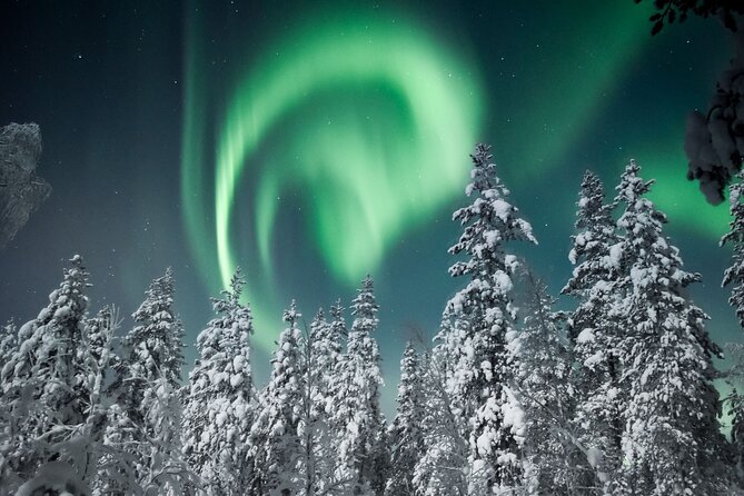 Snowmobile Safari to Search for the Northern Lights - Customer Feedback and Insights