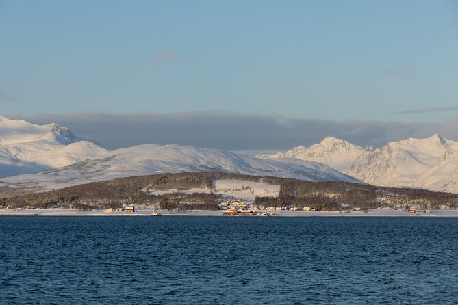 Sommarøy Arctic Day Trip - Traveler Reviews and Experiences