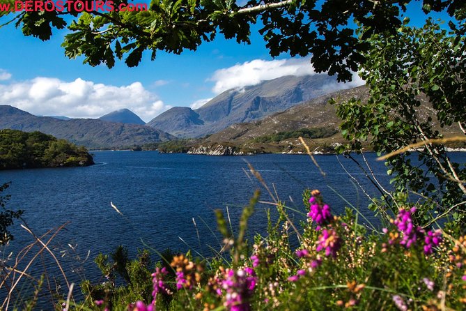 The Gap of Dunloe Full-Day Tour From Killarney - Tips for a Successful Tour