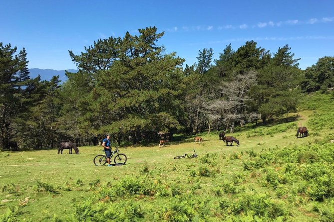 The Train Track Trail Mountain Bike Ride - Private Experience - Prepare for Your Adventure