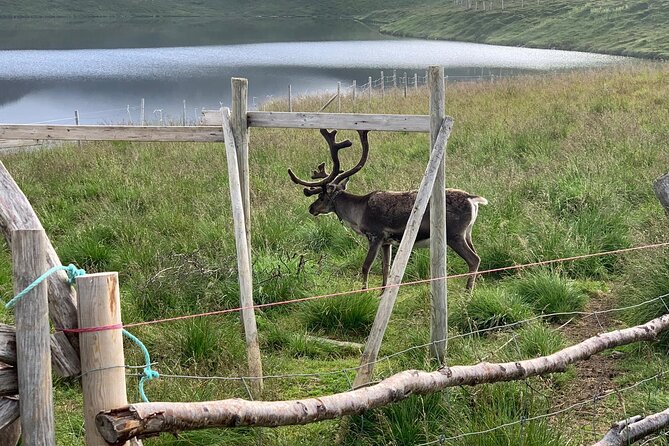 The VIP North Cape Tour (Honningsvåg - Skarsvåg - the North Cape) - Private Tour Options and Special Arrangements