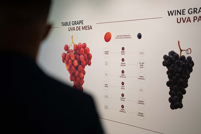 The Wine Experience Entry Ticket & Tasting Review - Planning Your Visit to The Wine Experience