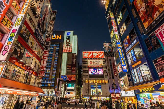 Tokyo 1-Day Bus Tour, Hotel Pick-Up and Drop-Off, Japan Gray Line - Accessibility and Additional Information