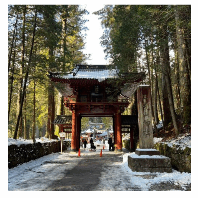 Tokyo: Customised Unmissable Nikko Unesco Private Day Tour - What to Bring