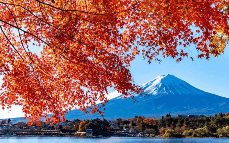 Tokyo Day Trip -Mount Fuji Private Tour From Tokyo - Fuji-Q Highland