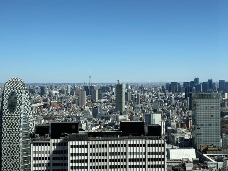Tokyo Day Trip With Local Guide and Private Car - Frequently Asked Questions