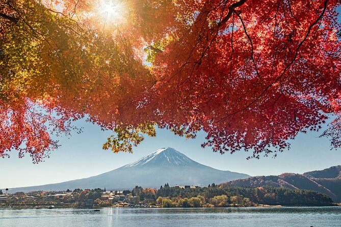 Tokyo ⇔ Lake Kawaguchi Bus Tickets (One-way/Round-trip) - Common Questions