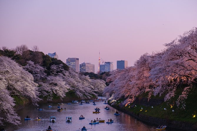 Tokyo Half-day Customized Private Tour - Recommendation and Booking Information