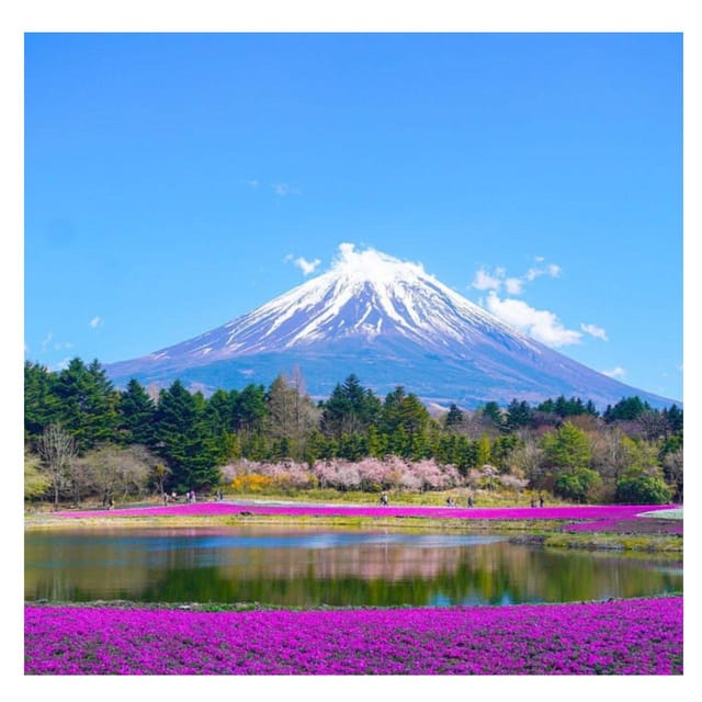 Tokyo: Mt Fuji Prado Private Tour By English-Speaking Driver - Shopping at Gotemba Premium Outlets