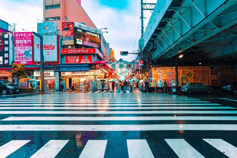 Tokyo One Day Private Tour With English Speaking Driver - Booking and Availability