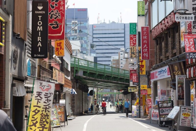 Tokyo: Personalized Private 6-Hour Tour - Feedback From Previous Customers
