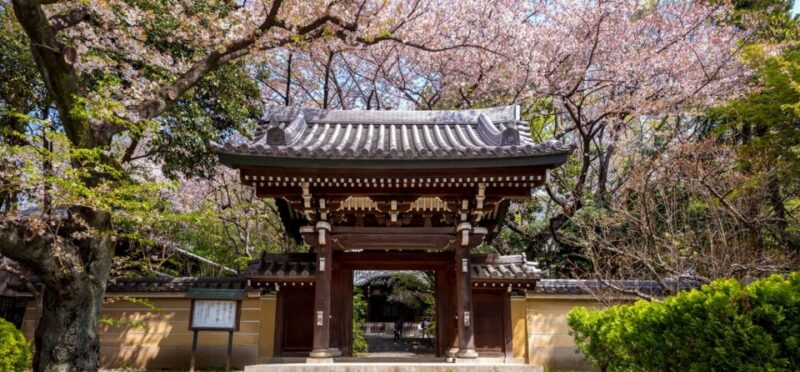 Tokyo: Private Cherry Blossom Experience - Discover Uenos Secluded Cherry Blossom Retreats