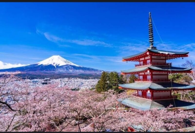 Tokyo: Private Day Trip to Mount Fuji and Hakone - What to Expect on the Tour