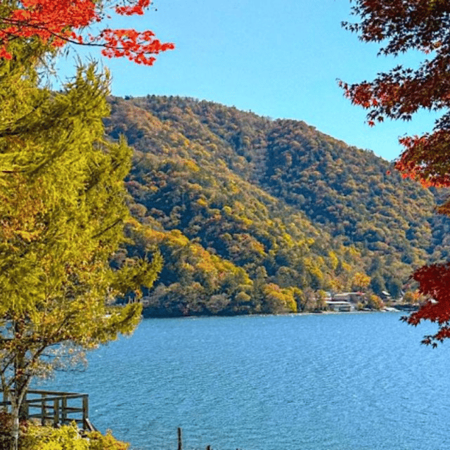 Tokyo: Private Nikko World Heritage Instagramable Day Tour - Discover Nikkō National Park