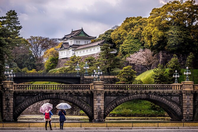 Tokyo Private SightSeeing Day Tour - Communication and Responsiveness
